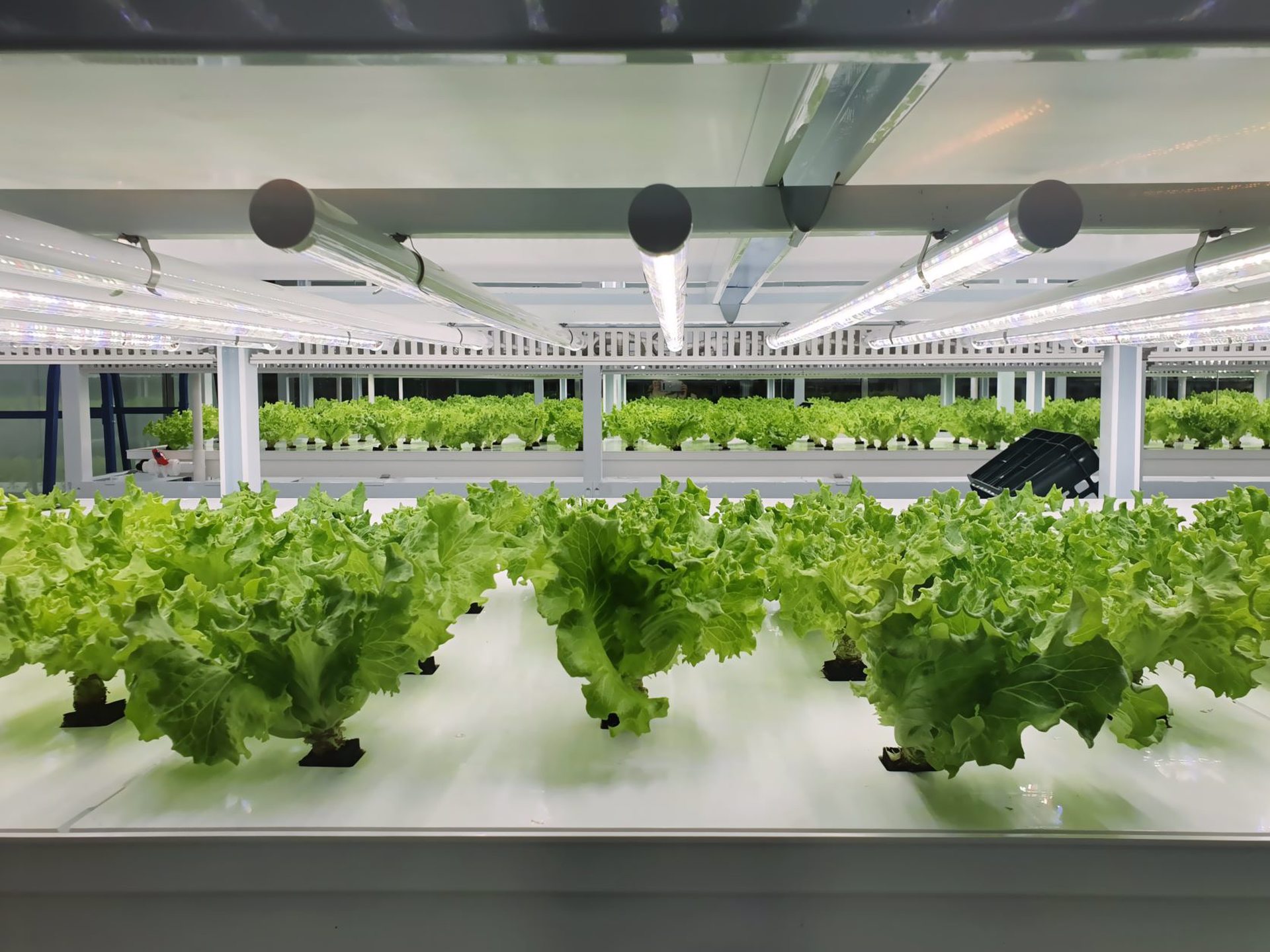 Lighting Applications | BrightView Technologies, Inc.